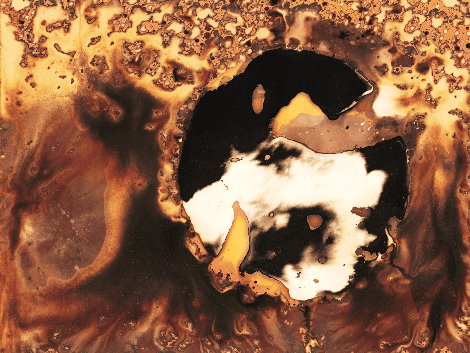 alternative photography techniques