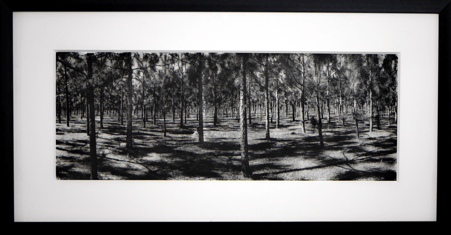 alternative photography